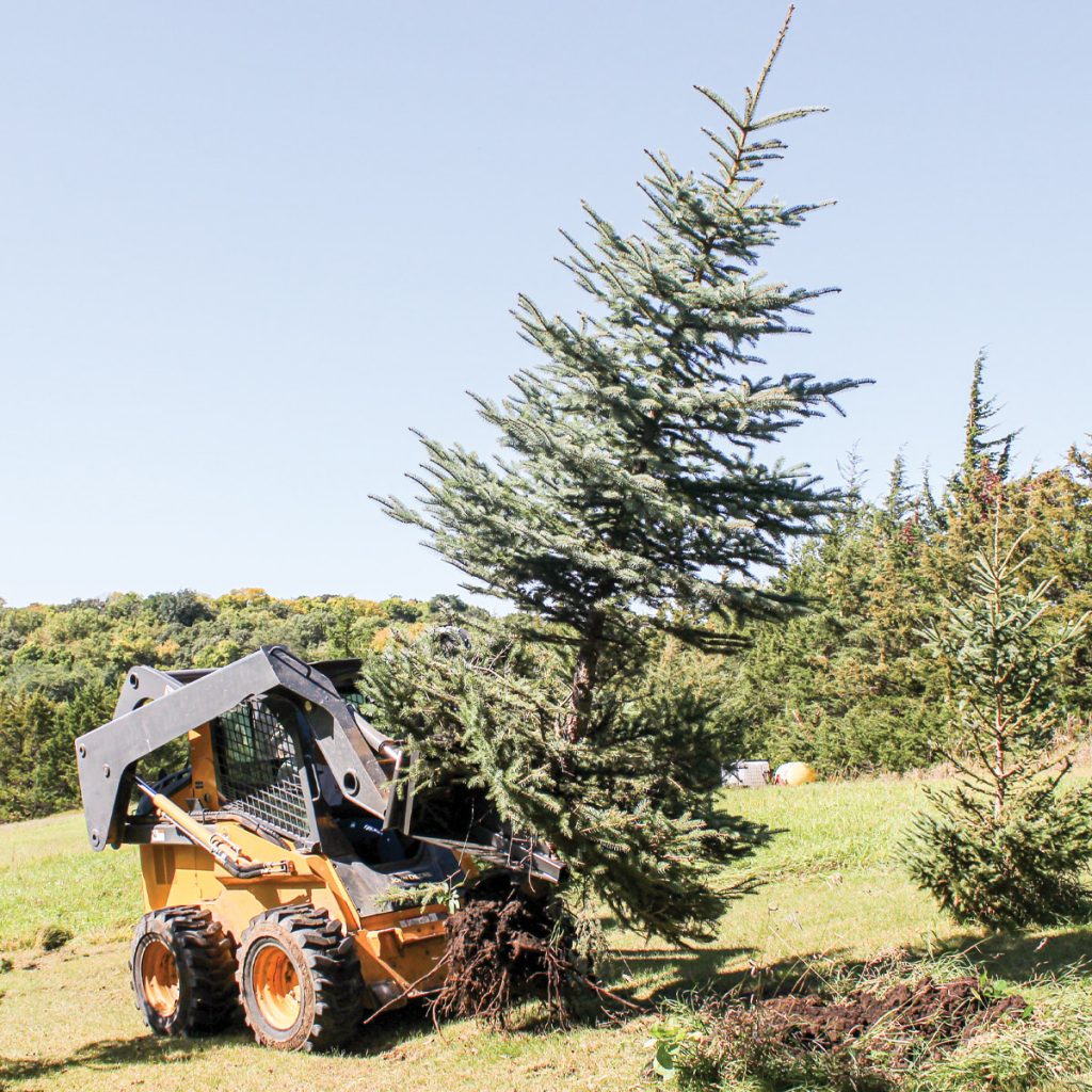 GreyWolf™ Skid Steer Tree Puller | Tree Removal | GreyWolf™ Attachments
